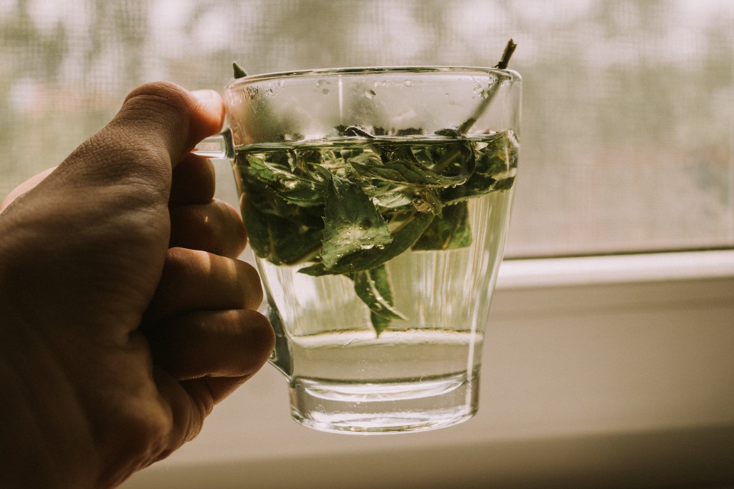 Moroccan Mint Tea Recipe